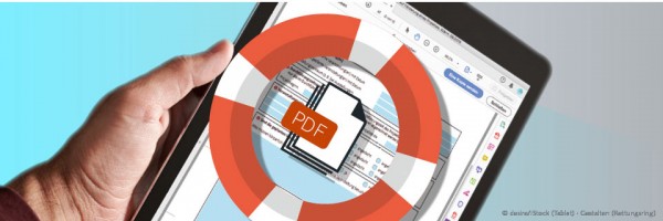 Hilfe beim Ausfüllen interaktiver Formular-PDFs