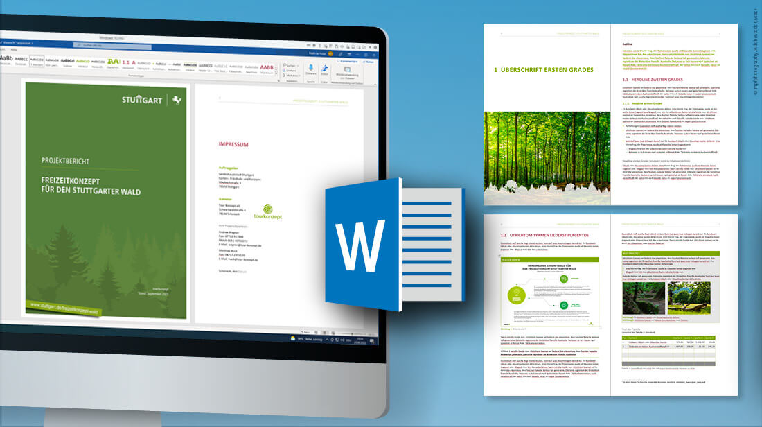 Professionelle Word*-Vorlagen für Exposés, Leitfäden und Berichte